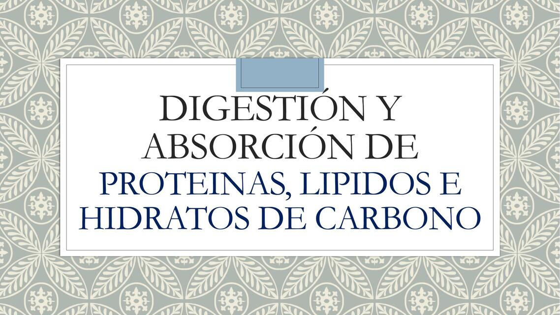 DIGESTIÓN Y ABSORCIÓN DE PROTEINAS LIPIDOS e hidra | Alezka | uDocz