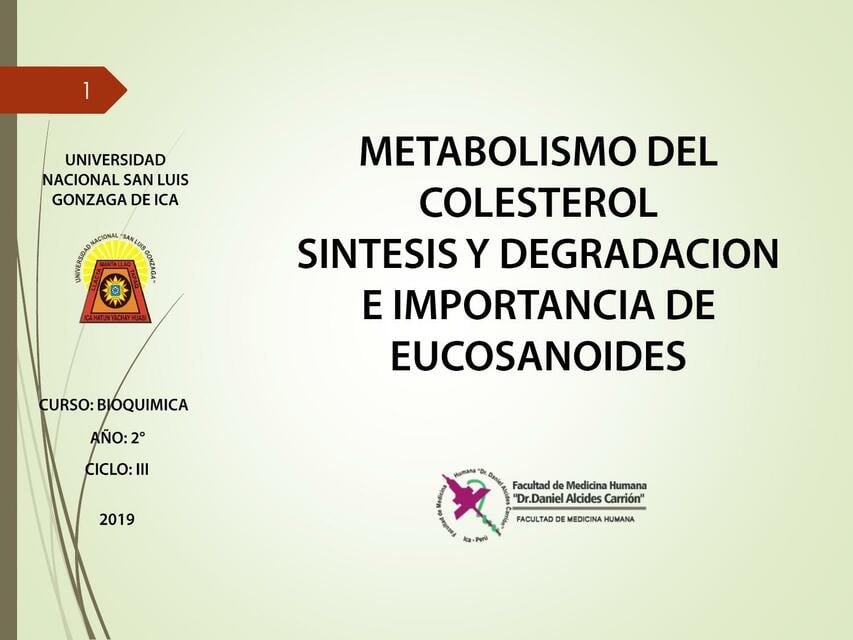 BIOK COLESTEROL EICOSANOIDES | Alezka | uDocz