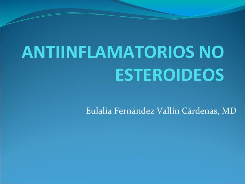 AINES | Noriel Robles | uDocz