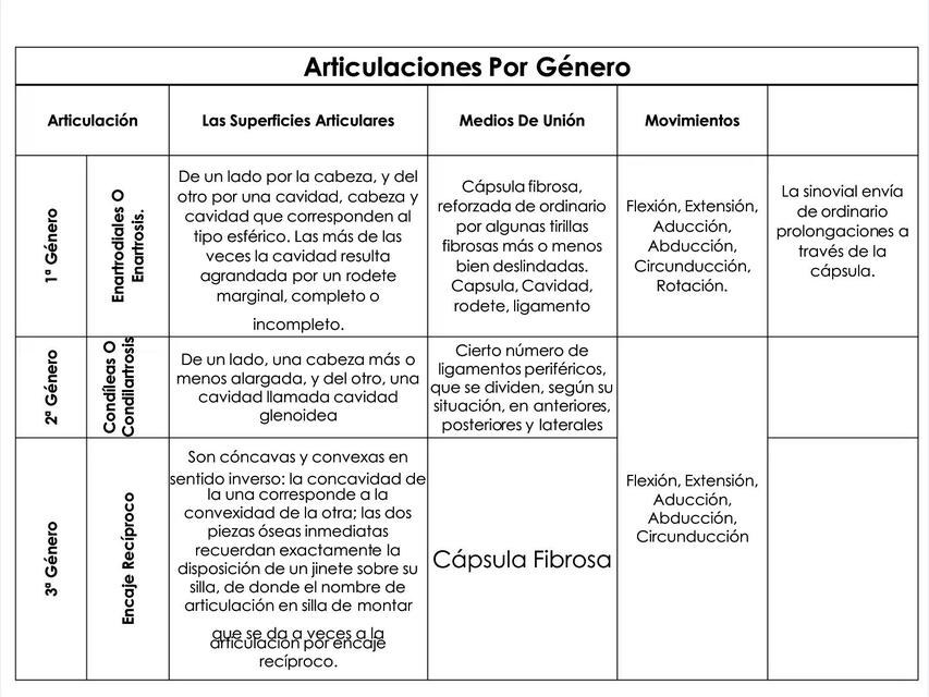 Articulaciones por genero | Celeste Codutti | uDocz