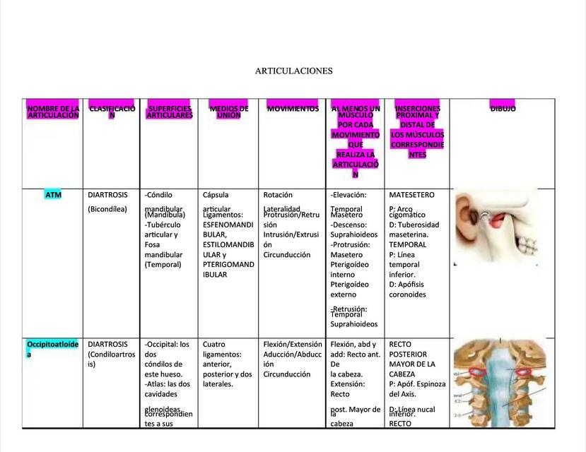 Tipos de Articulaciones ejemplos | Celeste Codutti | uDocz