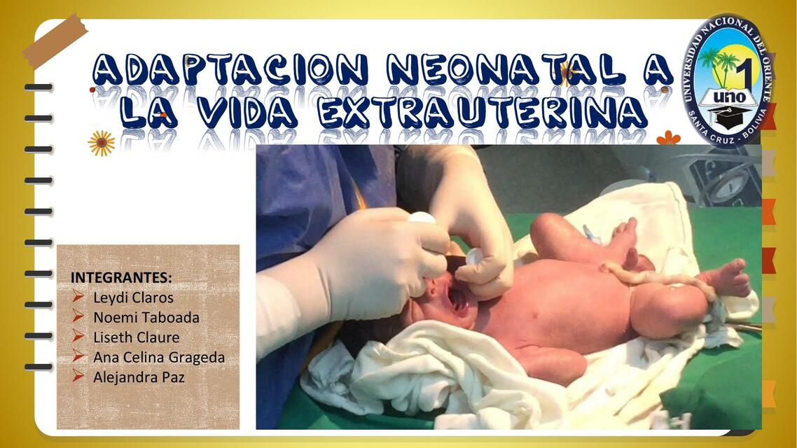 adaptacion neonatal a la vida extrauterina | Celeste Codutti | uDocz