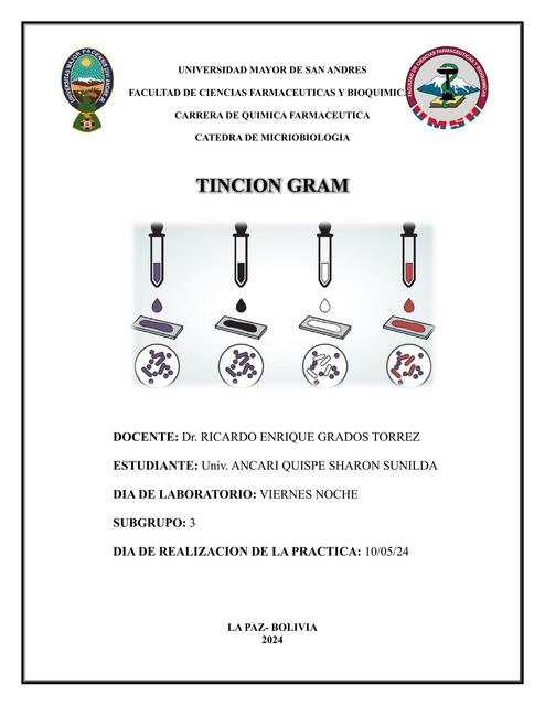 INFORME 3 MICROBIOLOGIA TINCION GRAM 1 | LIZETH ESCOBAR LEON | uDocz