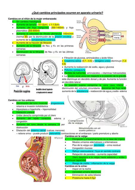 RESUMEN DE CLASE | TATIANA NICOLE | uDocz