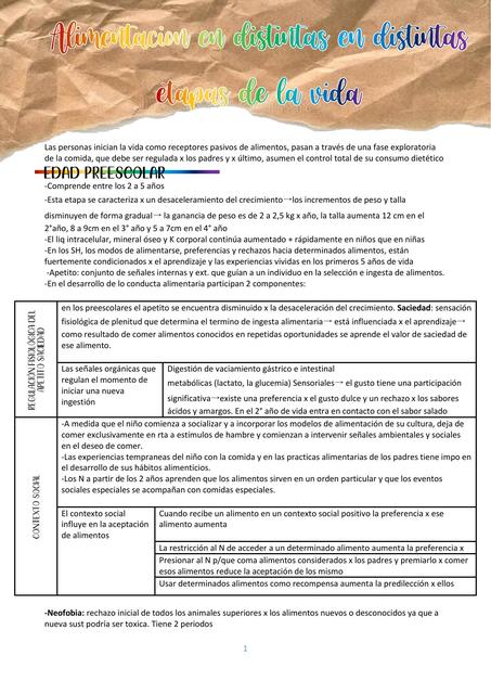 Alimentos En Distintas Etapas De La Vida Udocz Creators Udocz