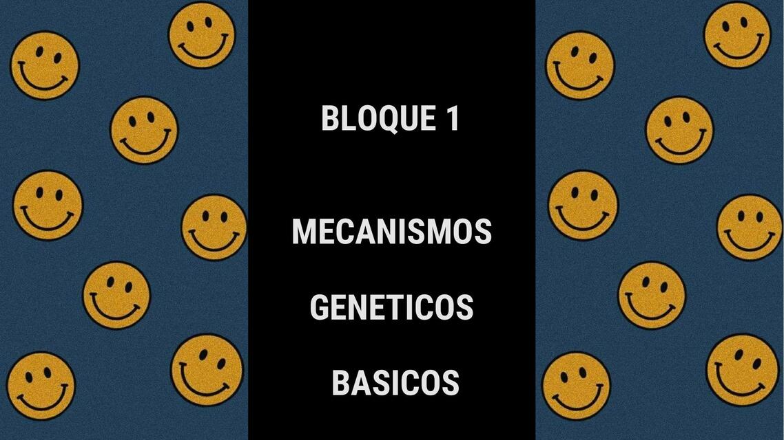 Mecanismo genéticos | Milena Loor | uDocz