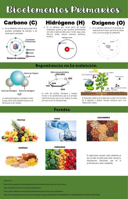 Bioelemento Primario (C H y O) | NutriLab | uDocz