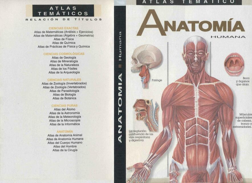 Atlas temático de Anatomía Humana Idea Books | Bryan Urbina | uDocz