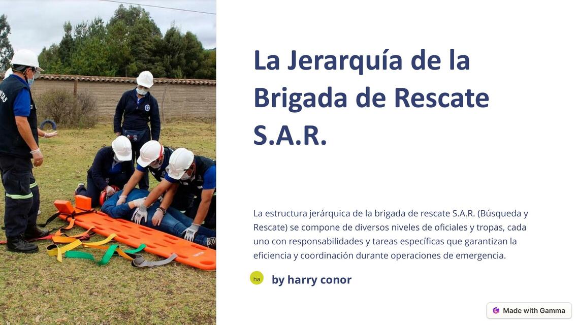 La Jerarquia de la Brigada de Rescate SAR | Sonia Velasquez alejo | uDocz