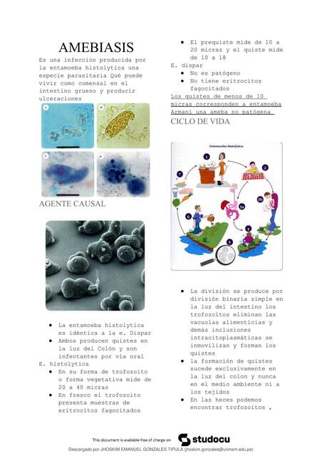 AMEBIASIS | DANIEL | uDocz