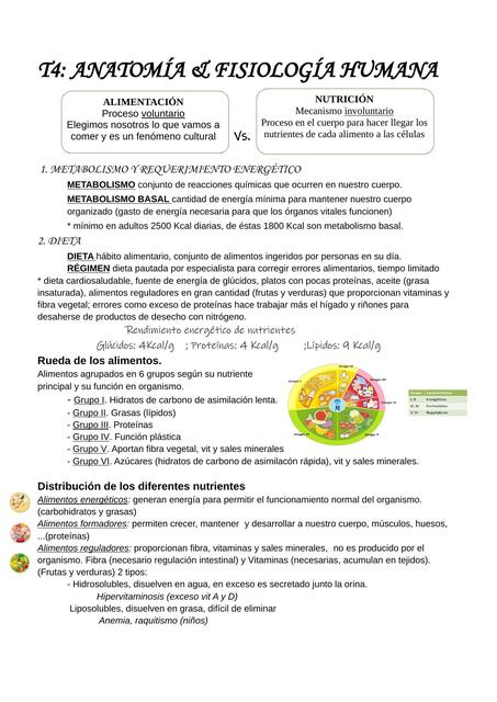 Anatomía y Fisiología humana | Srn RN | uDocz