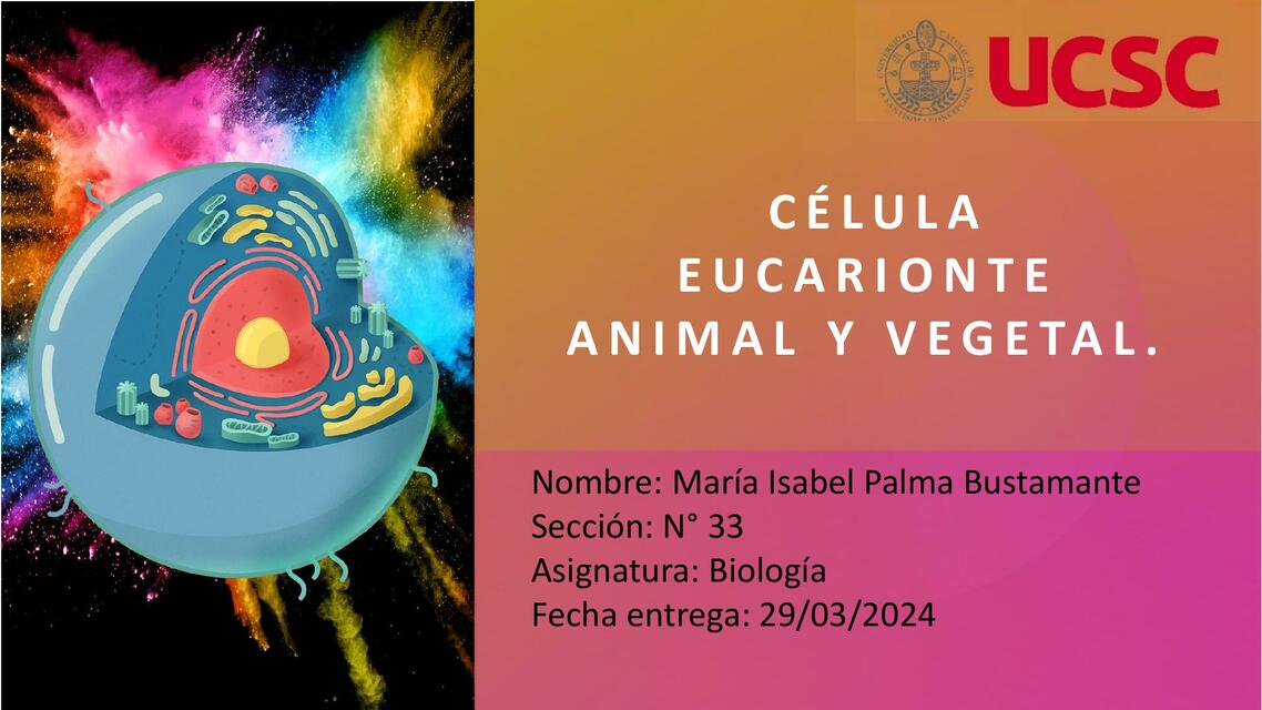 Célula eucariota y animal | Mary | uDocz