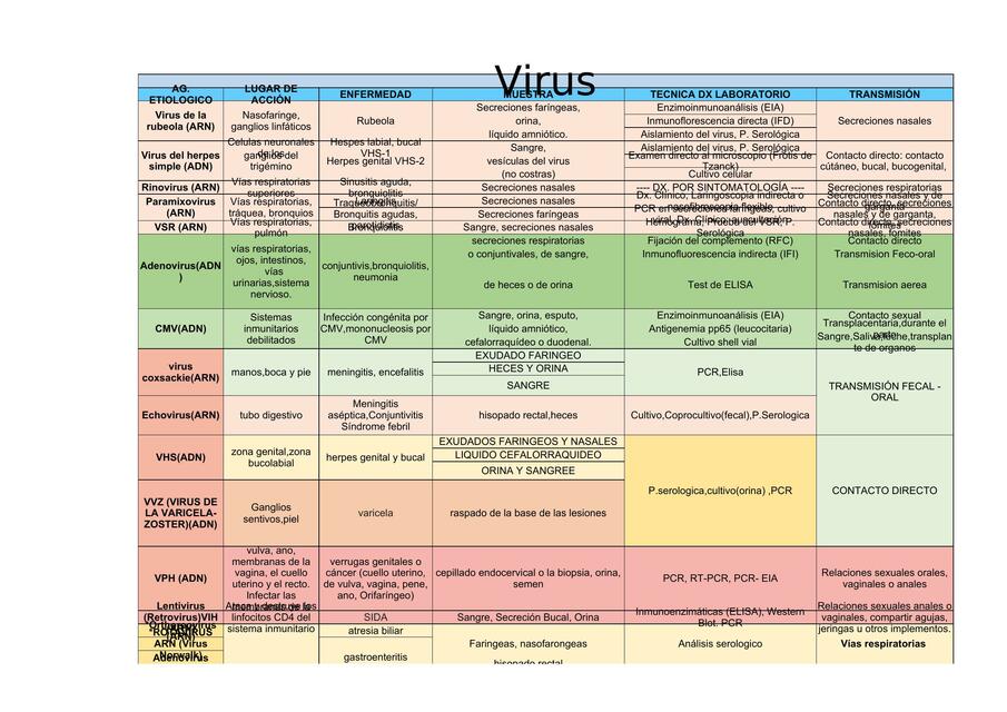 TABLA DE VIRUS BACTERIAS HONGOS Y PARÁSITOS | LEYDI ARIANA CRUZ GARCIA | uDocz