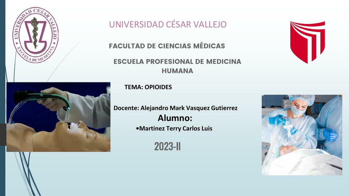 opioides expo | Marlene Olinda Arrascue campos | uDocz