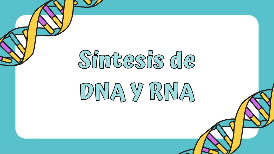 Síntesis de DNA y RNA | Dulce María | uDocz