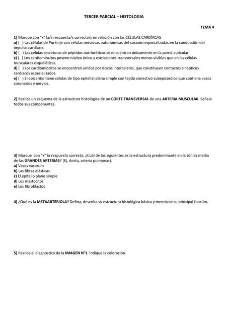 Histologia - Parcial 3 (tema 4) | MFrias | uDocz