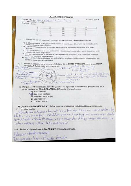 Histologia - Parcial 3 (fotos) | MFrias | uDocz