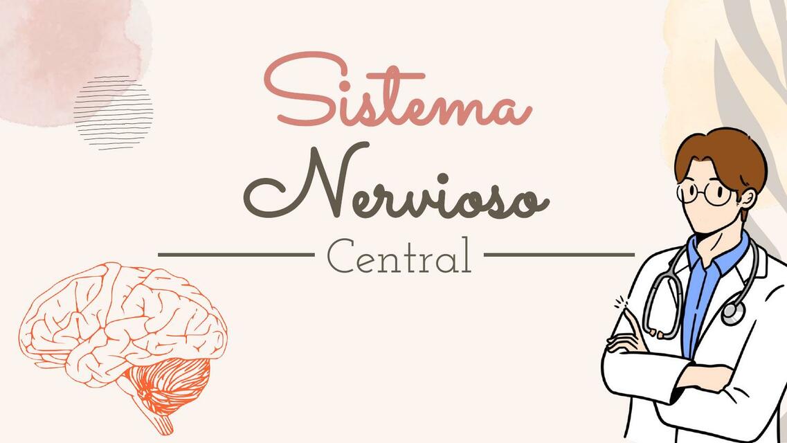 Sistema nervioso central funciones | Celeste Codutti | uDocz