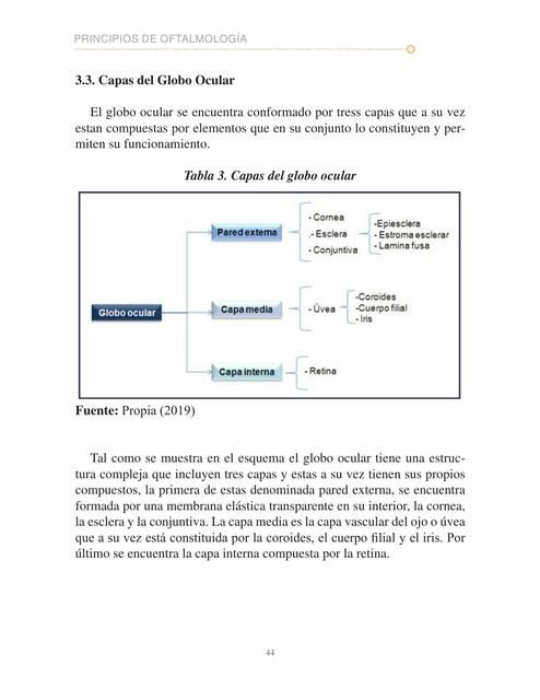 Resumen de oftalmología: Capas del globo ocular | Ojos y Visión | uDocz