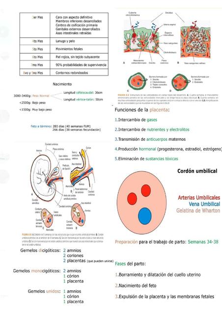 IMG | ANGELA ADRIANA | uDocz