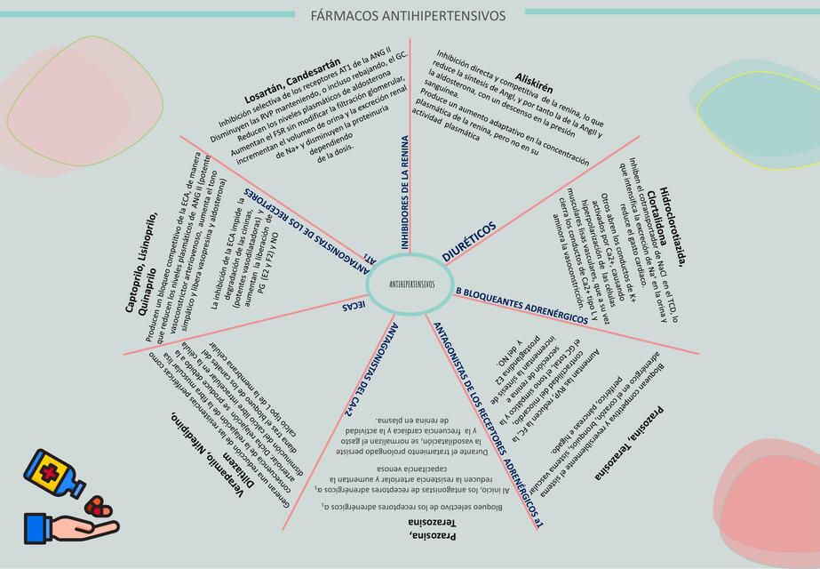 Mapa araña de antihipertensivos: Mecanismo de acción | Mitzi Ramirez ...