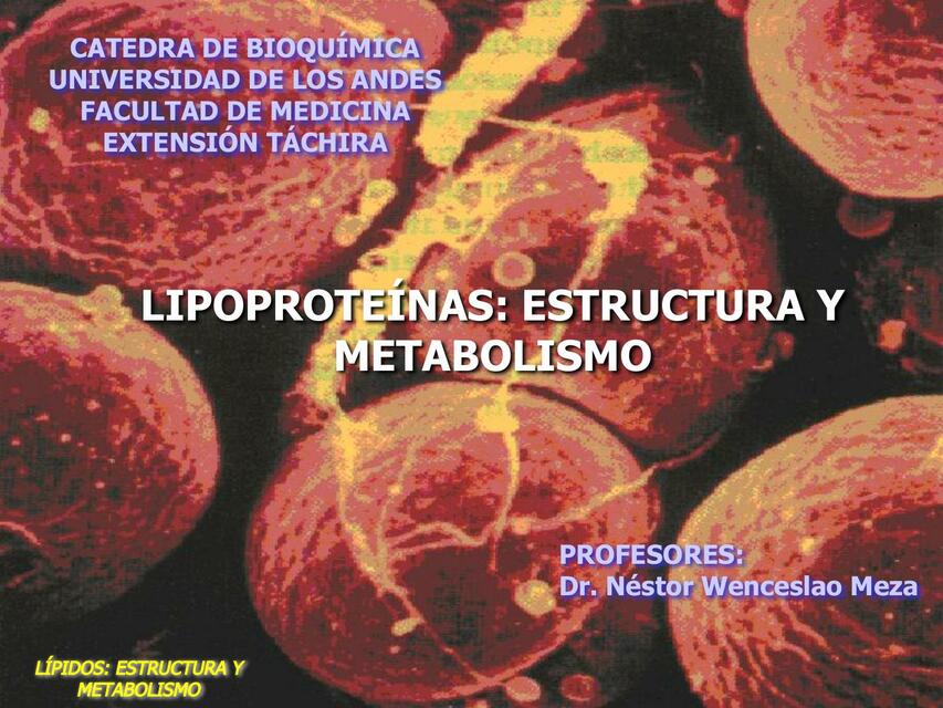 A Lipoproteínas | Carlos Daniel Cárdenas Santos | uDocz