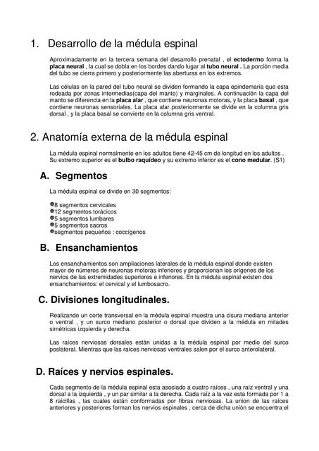 Resumen medula espinal | Celeste Codutti | uDocz Resumen medula espinal | Celeste Codutti | uDocz