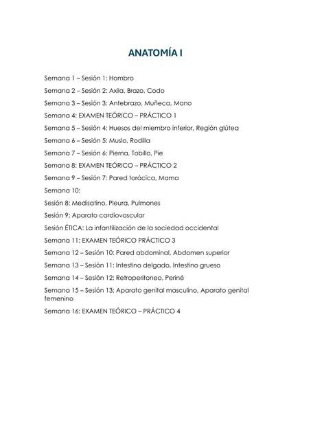 CALENDARIO ACADÉMICO II ANATOMÍA 1 | Milen | uDocz
