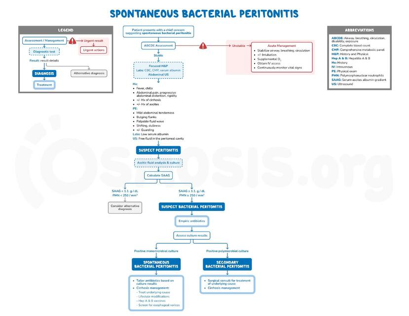 138 Peritonitis bacteriana espontánea Osmosis | Vielka Staforelli | uDocz