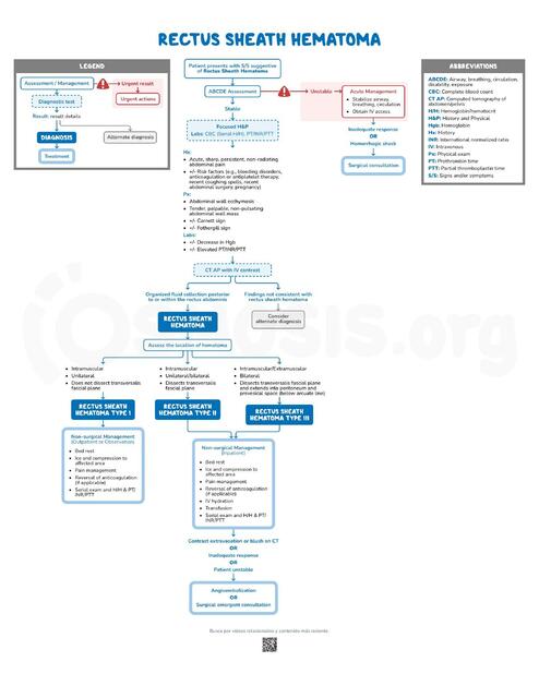 146 Hematoma vaina de los rectos Osmosis | Vielka Staforelli | uDocz