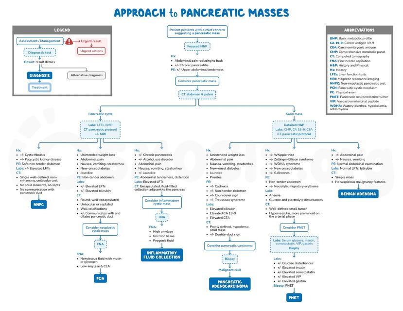 71 Masa pancreática Osmosis | Vielka Staforelli | uDocz