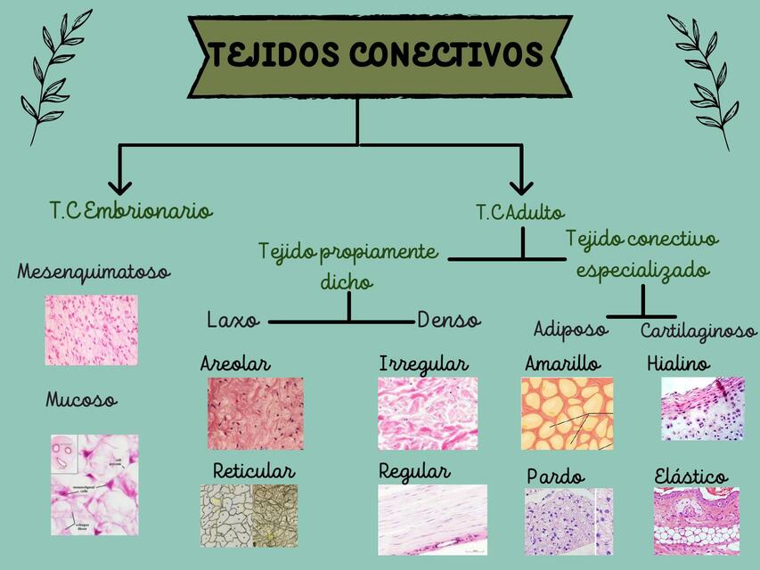 Ejemplos Tejidos | Viannd | uDocz