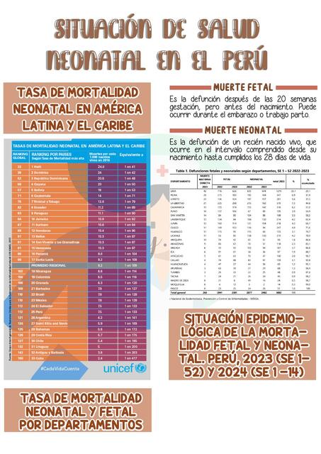Situación de salud en el Perú | Antonella Rivadeneyra Ramirez | uDocz