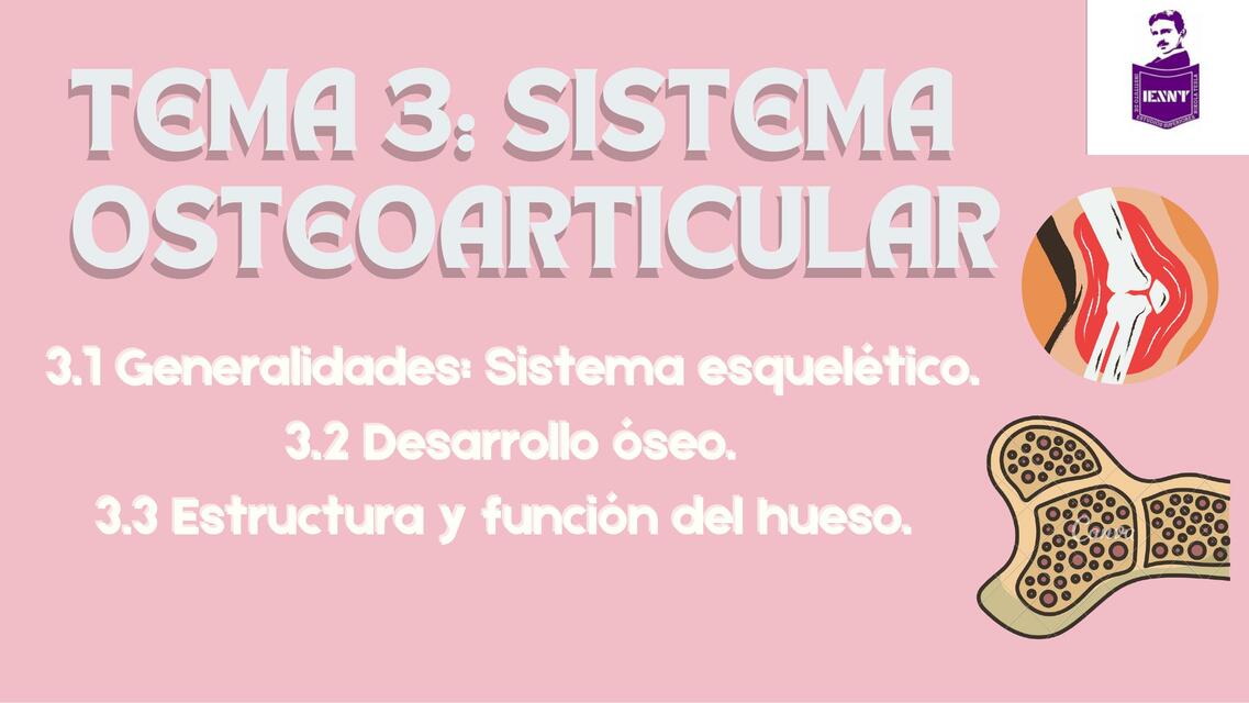 Osteo Anato | Dianna | uDocz