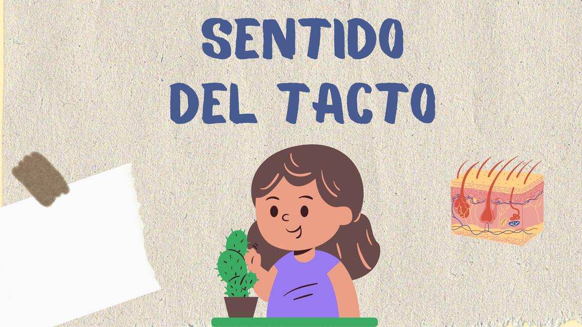 Sentido del tacto | Camila Araujo | uDocz