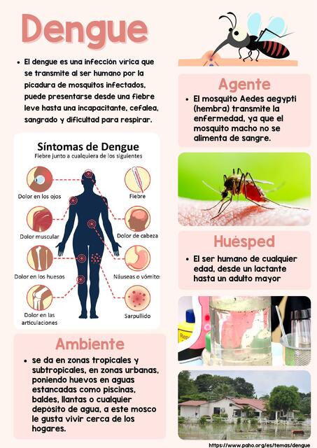 DENGUE INFOGRAFIA | Camila Araujo | uDocz