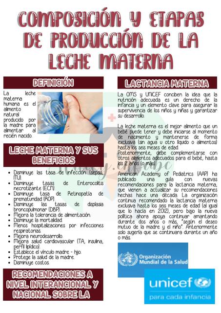 Composición y Etapas de producción de la leche materna | Antonella Rivadeneyra Ramirez | uDocz