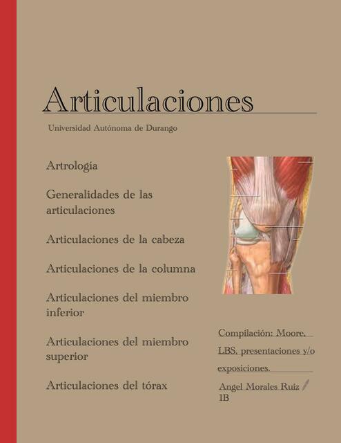 Articulaciones | Angel Morales | uDocz