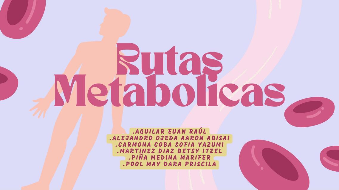 Rutas Metabolicas | Marifer | uDocz