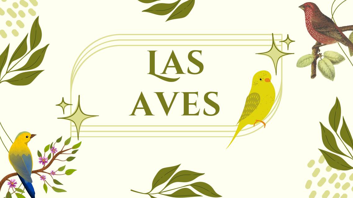 Las Aves (Biología) | D-H-M | uDocz