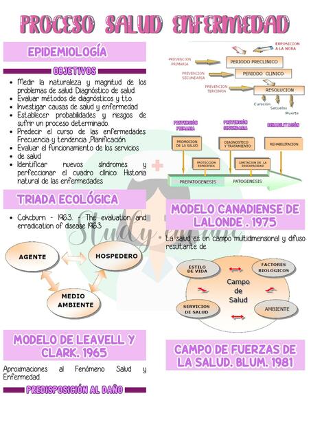 Proceso Salud Enfermedad | Antonella Rivadeneyra Ramirez | uDocz
