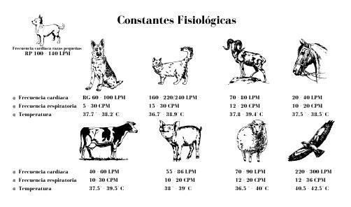 Constantes Fisiológicas comunes | uDocz