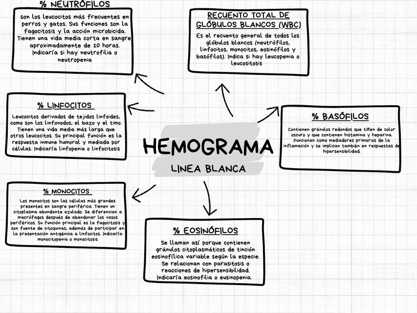 Gráfico Mapa Mental Ideas Creativas Doodle Colorid | Paola | uDocz