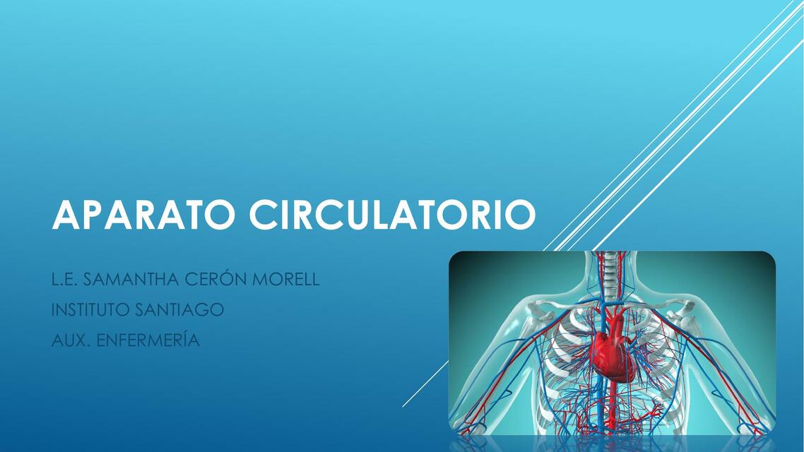 APARATO CIRCULATORIO | susana Saenz | uDocz