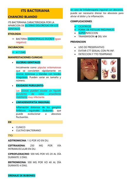 ITS | Beatriz | uDocz