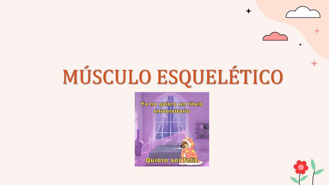 fisio 3 | Ledesma Candela | uDocz