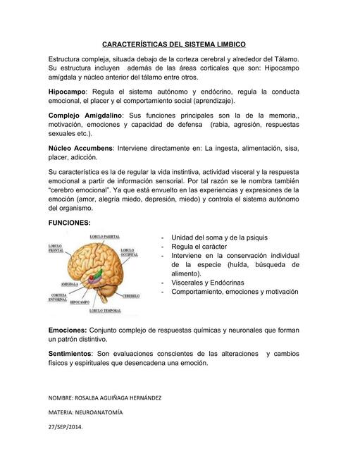 Caracteristicas Del Sistema Limbico | Celeste Codutti | uDocz