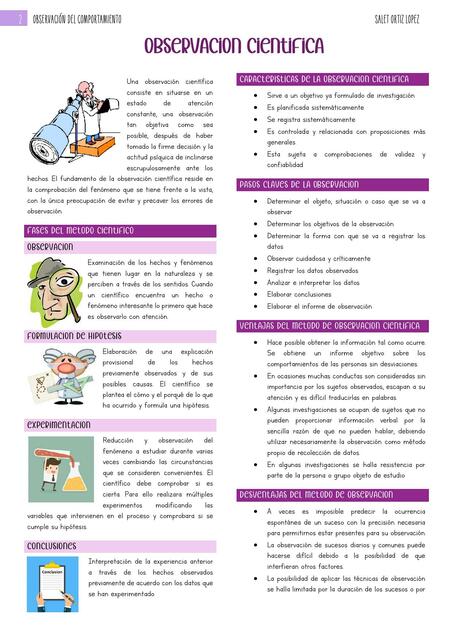 Resúmenes de pasos clave de la observación | Descarga apuntes de pasos ...