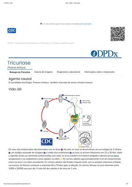 Trichuris Trichiura Rotulado