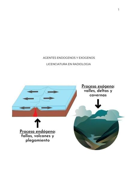 ENDOGENO Y EXOGENO pdf pdf | Lázaro | uDocz